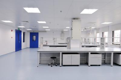 China Steel Modular Cleanroom Wall Panel with Walkable Surface and Dust-proof Properties for Food and Pharmaceutical Industries for sale