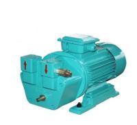 China Low Noise 10kw Self Suction 3 Meters Water Vacuum Pump for sale