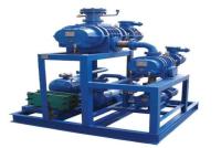 China 3 Phase 380V Sk 2sk 2be Liquid Ring Vacuum Pump for sale
