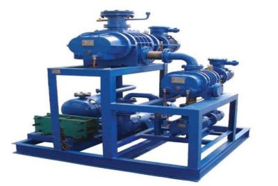 China 3 Phase 380V Sk 2sk 2be Liquid Ring Vacuum Pump for sale