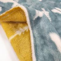 China Double Side Printed Flannel Fleece Fabric 100% Polyester Winter for sale