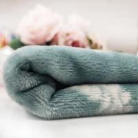China Double Side Printed Flannel Fleece Fabric 100% Polyester Winter for sale