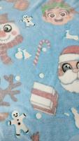 China 100% Polyester Flannel Fleece Fabric for sale