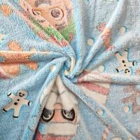 China 100% Polyester Flannel Fleece Fabric for sale