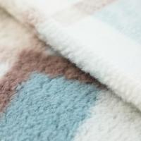 China Winter Warm Coat Carpet Bedding Green Sherpa Fabric 300gsm 150D for sale