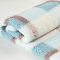 China Winter Warm Coat Carpet Bedding Green Sherpa Fabric 300gsm 150D for sale