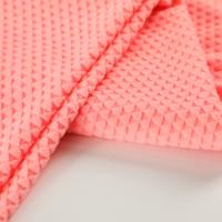 China 100% Polyester Micro Fleece Fabric 250gsm For Garment Upholster for sale