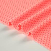 China 100% Polyester Micro Fleece Fabric 250gsm For Garment Upholster for sale