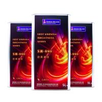 China Sherwin Williams HS 2K Clear Coat High Hardness 5L For Automotive Refinish for sale