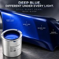 China Wholesale B575P Still Night Pearl Automotive Refinish Paint for Honda Accord Body Shop Panel Repair 1L for sale