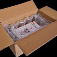 China 20 Micron PE Nylon Air Pillow Packaging 200mm Length for Void Fill Protection for sale