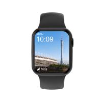 China DT100 44mm Smart Watch Series6 Men Bluetooth  Call 1.75