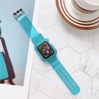 China Transparent Integrated TPU Silicone Watchband Width 23mm Protective Shell for sale