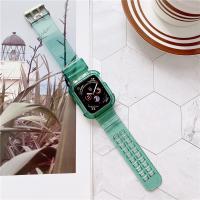 China Transparent Integrated TPU Silicone Watchband Width 23mm Protective Shell for sale