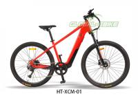 China 10.4Ah Long Range Electric Mountain Bike 25mph With 36V 350W Rear Hub Motor for sale