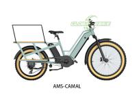 China Green Lithium Battery ebike cargo bike With Shimano 7 Speed Derailleur LED Big Light for sale