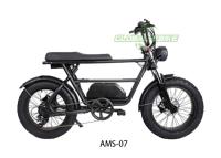 China 36V 250W-48V 1000W Fat Tire Electric Mountain Bike With Intelligent Controller for sale