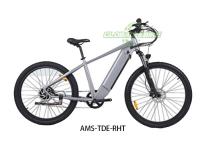 China Silver 36V 750W Electric Mountain Bike MTB Bicycle With Bafang Display for sale