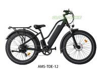 China Aluminum Alloy Frame City EBike with Lithium ion Battery and Intelligent Controller for sale