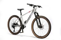 China Forge Alloy Mountain Bike With Hydraulic Disc Brake SHIMANO Freewheel for sale