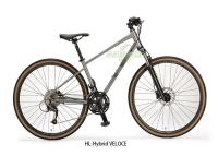 China Gray Unisex Road Bike With Alloy Pedal And Forge Stem Stainless Steel Spokes for sale