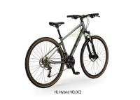 China Gray Unisex Road Bike With Alloy Pedal And Forge Stem Stainless Steel Spokes for sale
