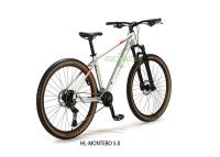 China Forge Alloy Frame Mountain Bike With Hydraulic Disc Brake SHIMANO Freewheel for sale