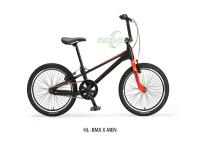 China 20 Inches Aluminum Alloy BMX Bike With RADIUS Brake And ATA 16T Freewheel for sale
