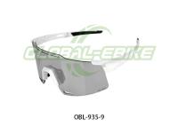China UV Protection AR PRO Mountain Bike Glasses With Interchangeable Lenses for sale