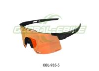 China UV Protection AR PRO Mountain Bike Glasses With Interchangeable Lenses for sale
