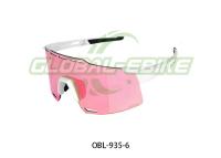 China UV Protection AR PRO Mountain Bike Glasses With Interchangeable Lenses for sale
