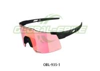 China UV Protection AR PRO Mountain Bike Glasses With Interchangeable Lenses for sale