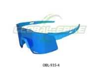 China UV Protection AR PRO Mountain Bike Glasses With Interchangeable Lenses for sale