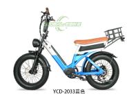 China 20 Inch Fat Tyre Electric Bike With Disc Brakes , 48V 1000W Big Tire Electric Bicycle for sale