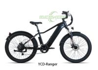 China 26x3.0 Tires 48V 15Ah Road Electric Bike Adults With TFT Display Alloy Frame for sale