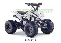 China Chromoly Steel Frame ATV Quad Bike With Monorshock Rear Swing Arm for sale