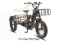 China 48.8kg Alloy Frame Cargo EBike With Brushless 48V 500W Rear Motor for sale