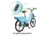 China Green Blue Alloy Frame Cargo EBike 25KM/H , Electric Bike With Cargo Carrier for sale