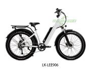 China Electric Fat Tire Bike Stopping Power Smooth Ride Versatile Choice for Urban Commuting and Off-Road Adventures for sale