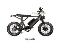 China 36V 250W Electric Mountain Bike Conversion Kit with Air Suspension Fork for sale