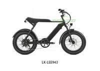 China 36V 250W Rear Hub Motor Electric Mountain Bike Full Suspension for sale