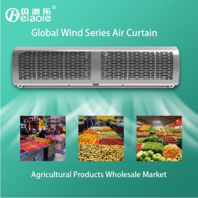 China Indoor Stainless Steel Air Curtain 220V 160W 900mm Ceiling Mount for Shopping Mall Supermarket for sale