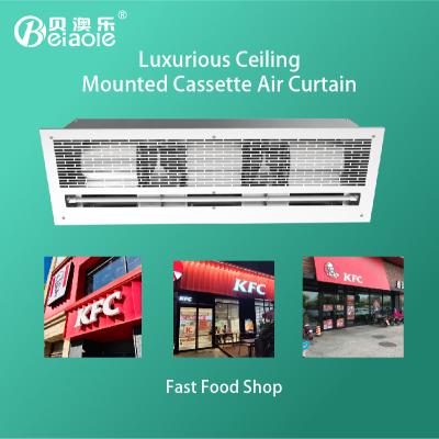 China Beiaole Titan Series Ceiling Mounted Air Curtain 1200mm 220V 290W for Commercial Doors for sale