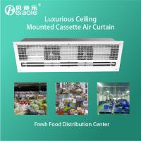 China Industrial Ceiling Mounted Air Curtain 220V 230W Large Door Ceiling for sale