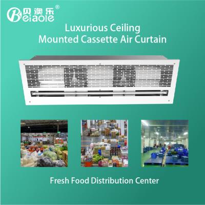 China Industrial Ceiling Mounted Air Curtain 220V 230W Large Door Ceiling for sale