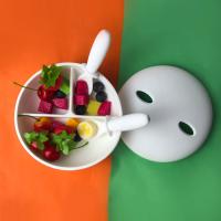 China Baby Feeding Silicone Suction Divided Plate With Lid BPA Free Bunny Shape for sale