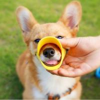 China Sustainable Silicone Pet Supplies Porous Breathable Soft Silicone Dog Muzzle for sale