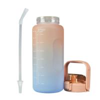 China Unisex Sports Silicone Water Bottle Customized Logo 2000ml Water Bottle With Straw for sale