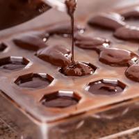 China MHC Hard Plastic Small Chocolate Pastry Mold Bpa Free Food Grade Silicone for sale