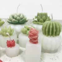 China Succulent Candle Molds Durable MHC Unique 3d Candles Small Succulent Mini Making Kit Cake Tools Type Moulds for sale